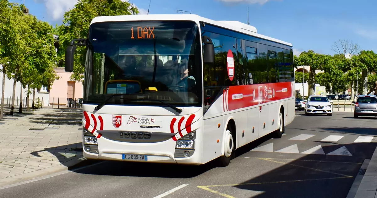 Nouvelle Aquitaine Ligne 440 - Trans-Landes